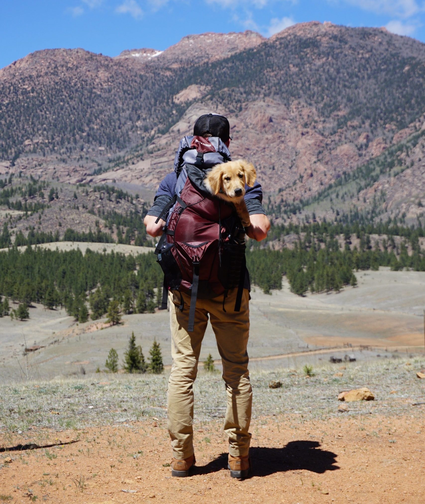 Hiking with Dogs: Everything You Need to Know | Acoma Animal Clinic